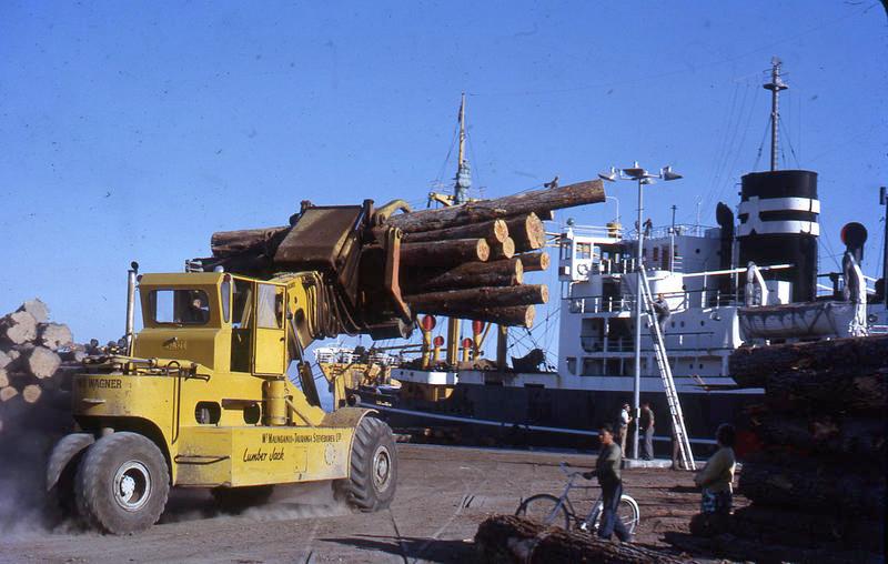Slide, Logs, Mount Maunganui Wharf - Tauranga Heritage Collection