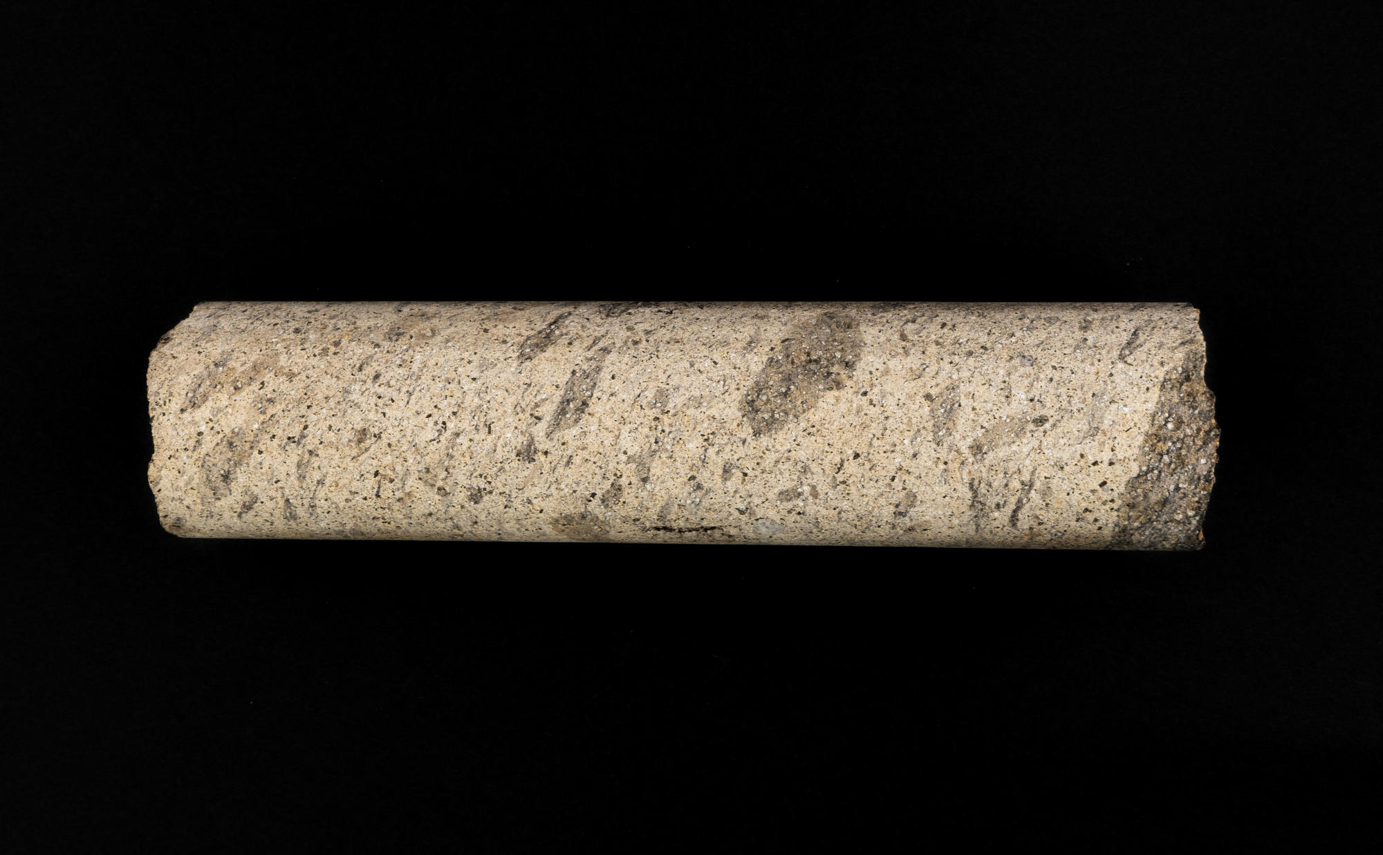 Core sample - Tauranga Heritage Collection