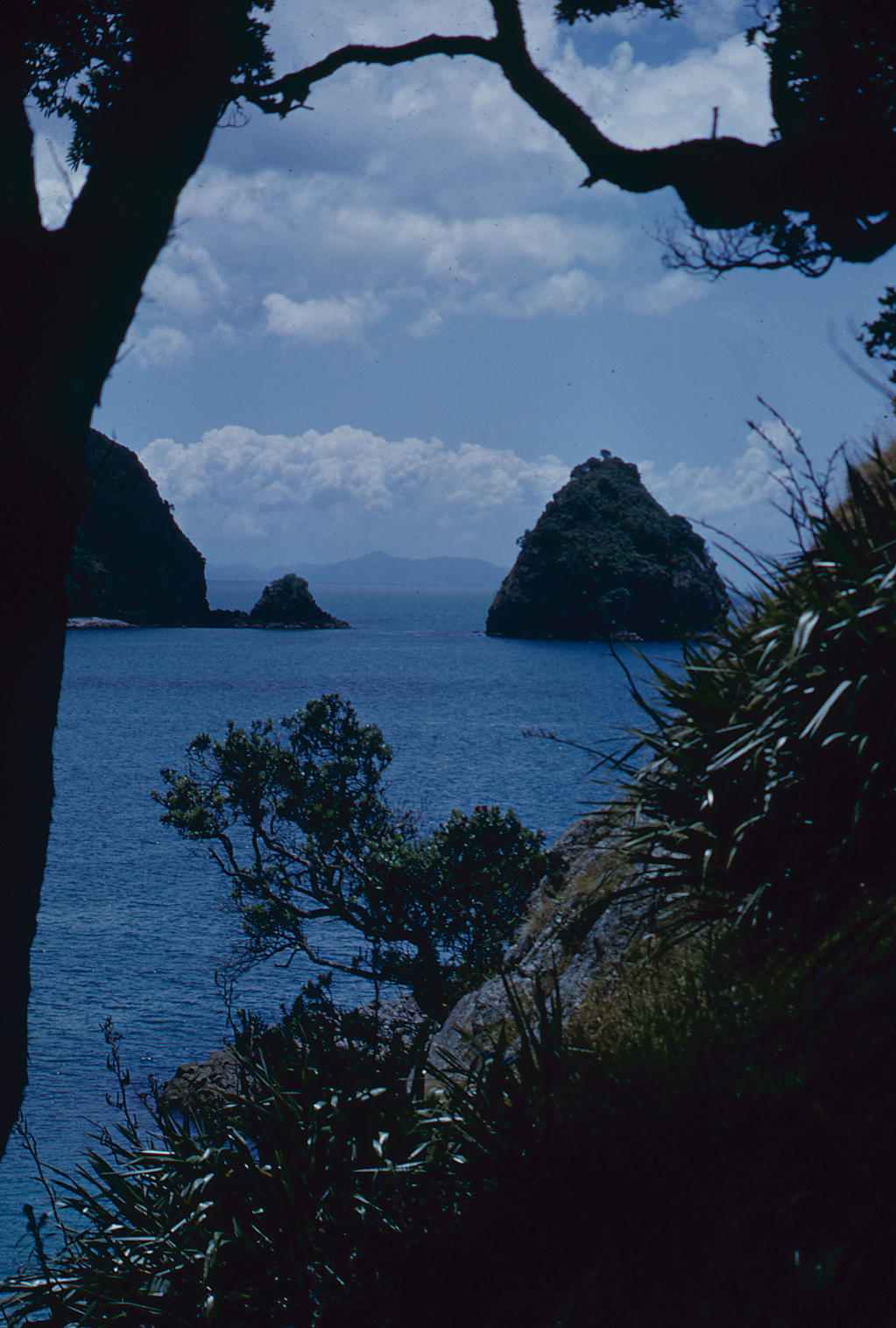 Slide, New Chum Bay - Tauranga Heritage Collection