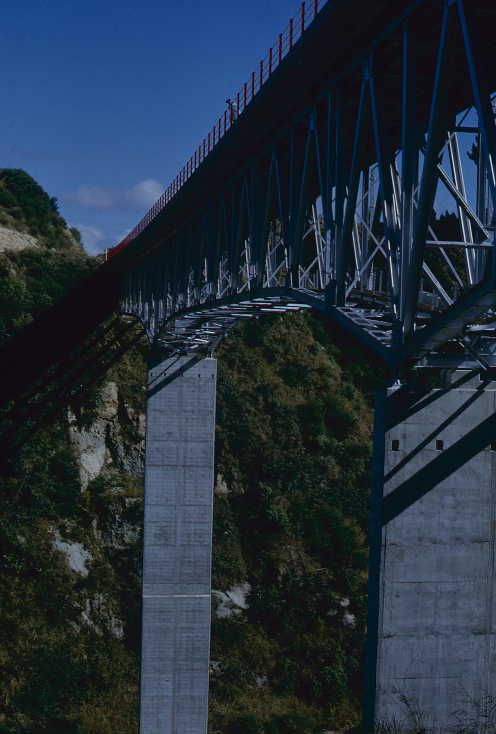 Slide, Mohaka River Bridge - Tauranga Heritage Collection