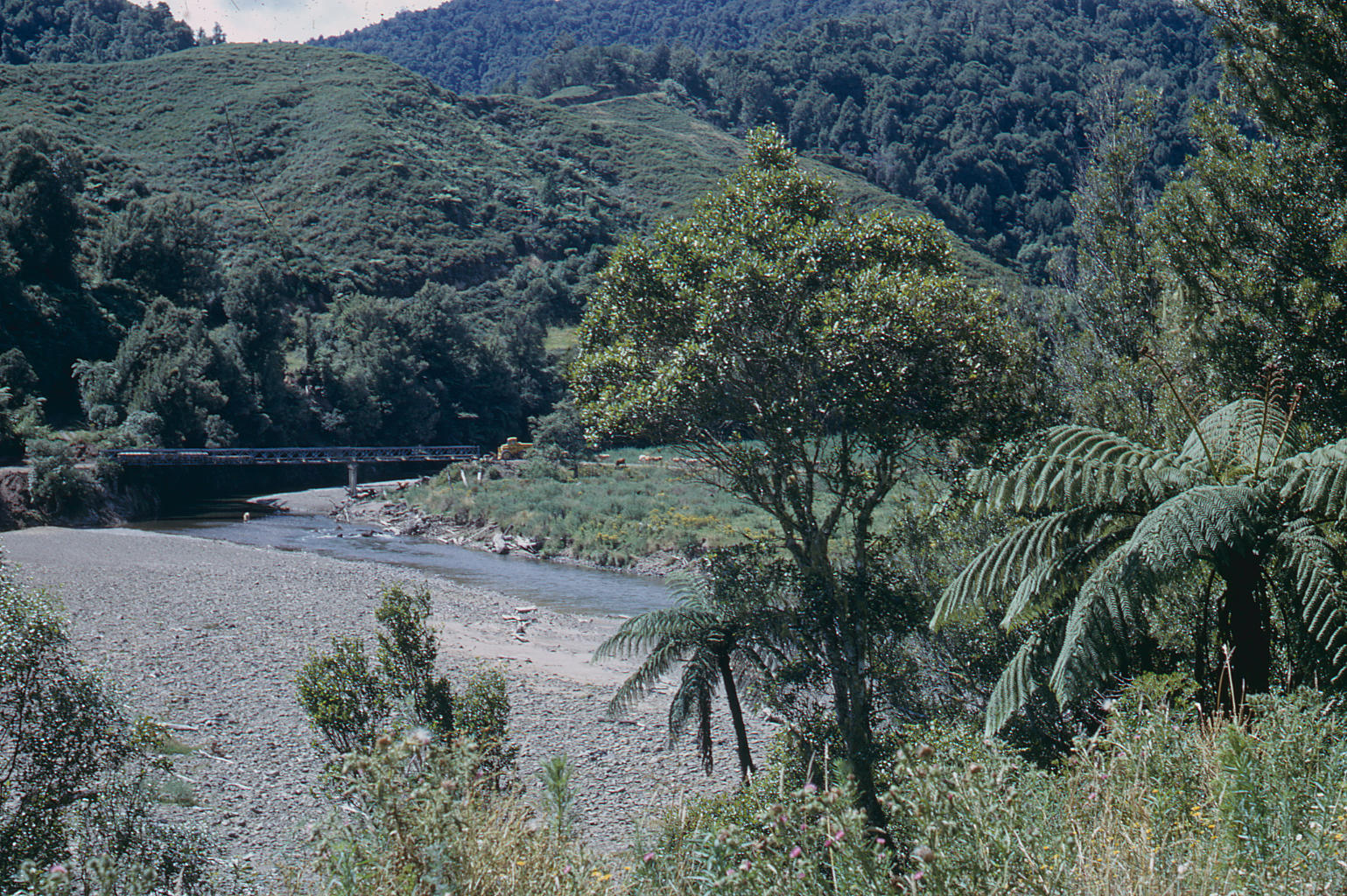 Slide, Urewera National Park - Tauranga Heritage Collection