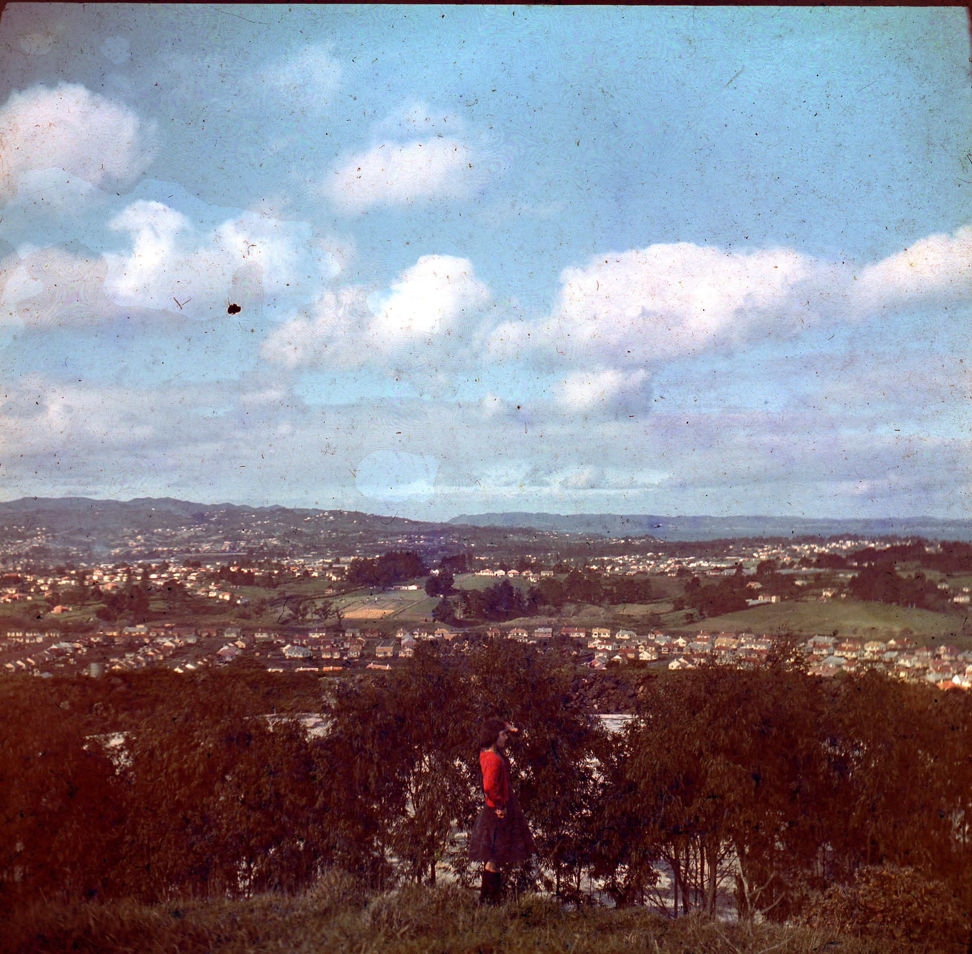 Glass Plate Negative, View of City - Tauranga Heritage Collection