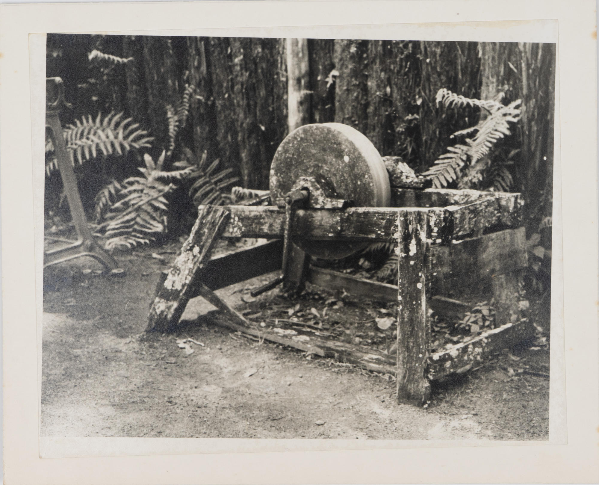 Tom Lay Photographic Collection, Grinding Wheel - Tauranga Heritage ...