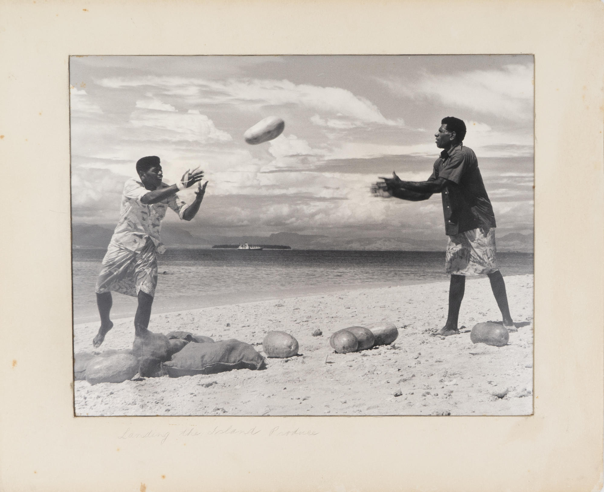 Tom Lay Photographic Collection, Landing the Island Produce - Tauranga ...