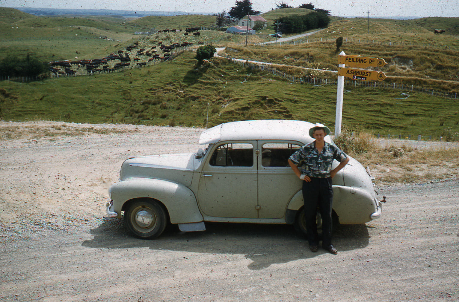 Slide, Roy West in rural scene - Tauranga Heritage Collection
